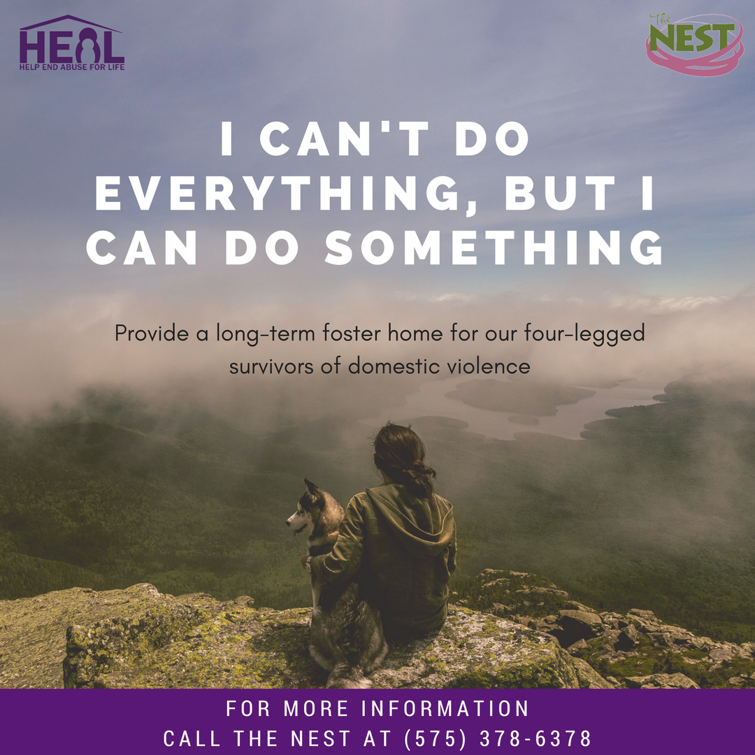 The Nest Domestic Violence Shelter Leading the Nation in Keeping Abused ...